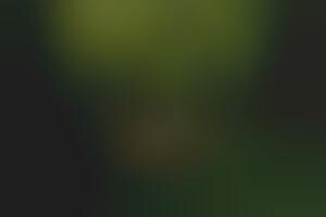 Flocking Object Photography : Swarms by Thomas Jackson