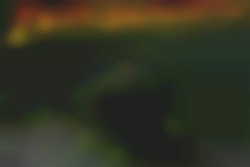 55 Stunning Stop Motion Shorts