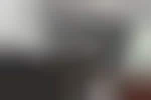 Hilariously Pretentious Puppies : Condescending Literary Pun Dog