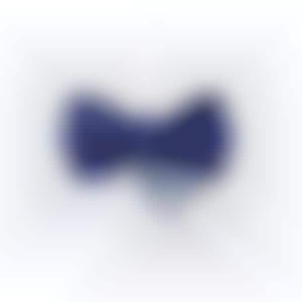 100 Classic Bow Tie Styles