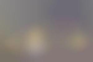 Contorted Anatomy Cartoons : Noam Sussman