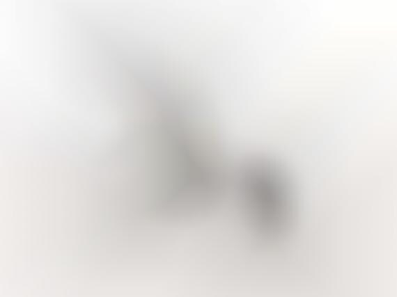 Adorable Eyeglass-Shaped Stands : Megane Specs Stand