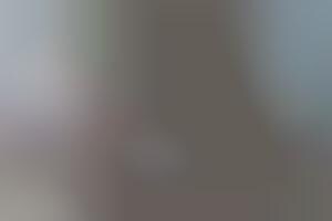 Bizarre Human Sculptures : Freak Show Project