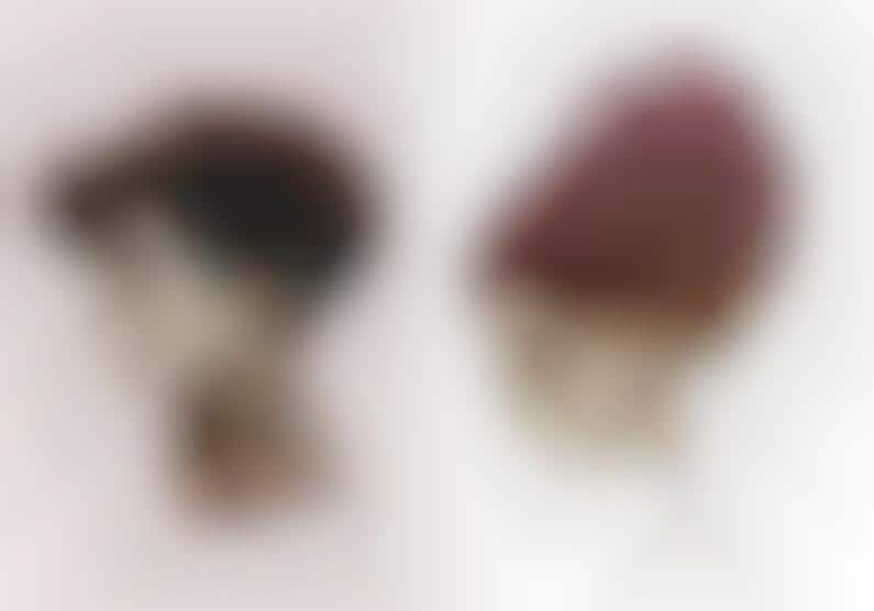 100 Exaggerated Facial Feature Renderings