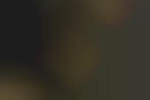 CEO Tribute Statues : Graphisoft