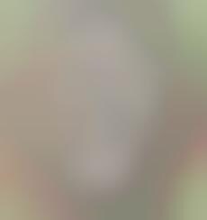 Luxury Fast-Food Jewelry : Pizza Watch