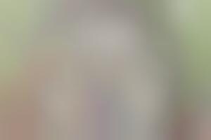 Luxury Fast-Food Jewelry : Pizza Watch