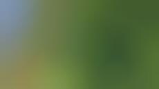 Organically Rendered Art : Fractal Renders by Tom Beddard