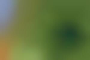 Organically Rendered Art : Fractal Renders by Tom Beddard