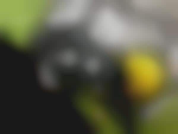 Luminous Gamer Lingerie : glowing pac man bra