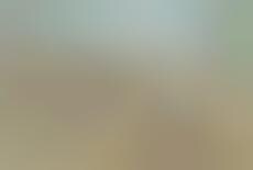 Fat-Free Dog Ads : MasterDog Light campaign