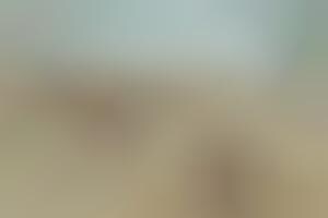 Fat-Free Dog Ads : MasterDog Light campaign