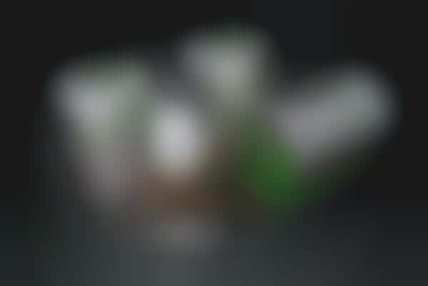 Nested Seedling Packaging : Eggrow by Kevin Craft