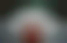 Incredible Perfect Moment Photography : perfect moment