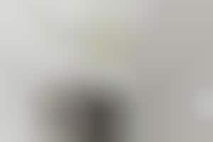 Cute Kitty Cubicles : Cat Cubes