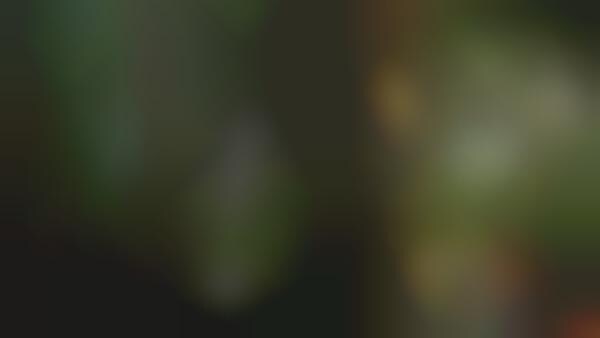 58 Goofy Ad Campaigns