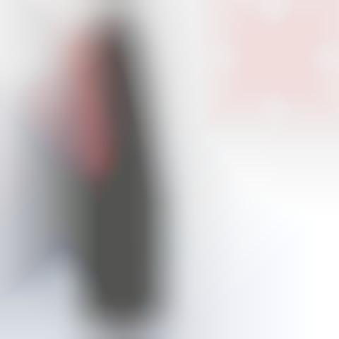 Dual-Purpose Coat Hooks : X Hanger