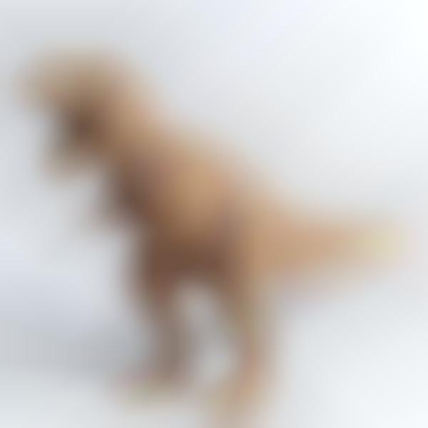 12 Terrifying T Rex Designs