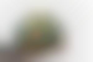 Dual Purpose Packaging : Juan Regueiro