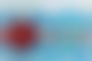 Virtual Gift Wrapping Services : Giftwhip