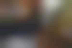 Proudly Profane Attire : Proudly Profane Attire