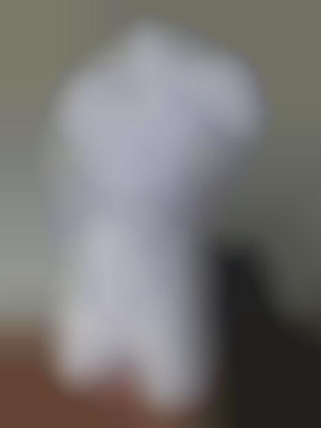 Anatomical Origami Art : Paper Torso