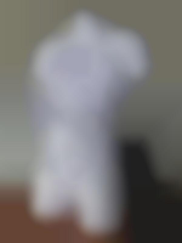 Anatomical Origami Art : Paper Torso