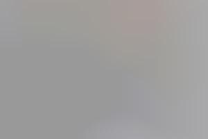 Silver Cargo Bicycles : Shape Field Bike