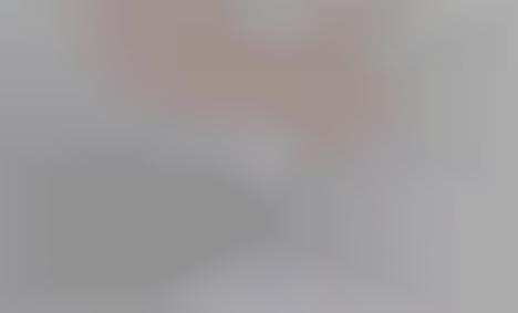 Silver Cargo Bicycles : Shape Field Bike