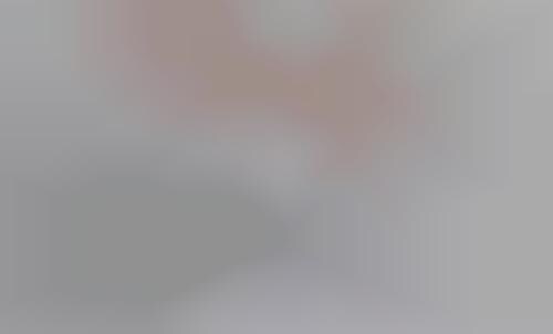 Silver Cargo Bicycles : Shape Field Bike