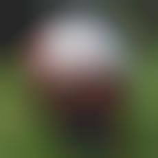 Pokemon-Inspired Spheres : Lars-Erik Fisk