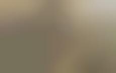 Modern Far-Reaching Fireplaces : Escea DX1500 Ultra Wide