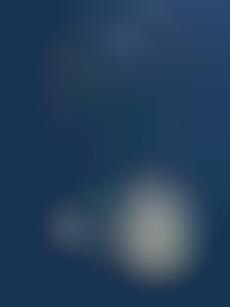 Organized Chaos Captures : Carl Kleiner