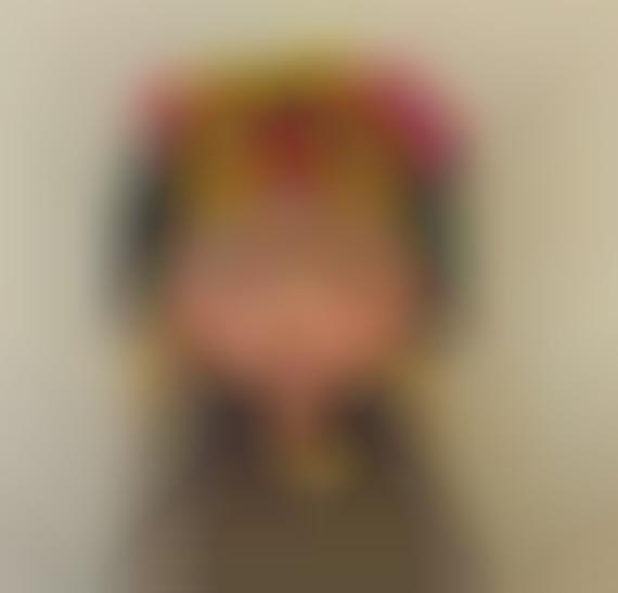 100 Exaggerated Facial Feature Renderings