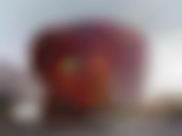 Candy-Colored Schools : Chalmers Campus Lindholmen