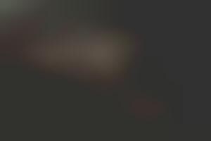 Prehistoric Piggyback Rides : Dinoprints