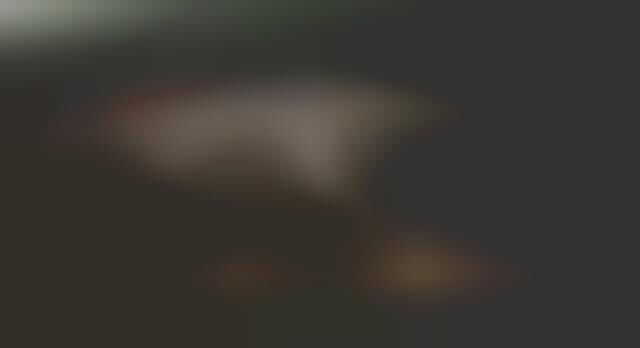 57 Intriguing Dinosaur Designs