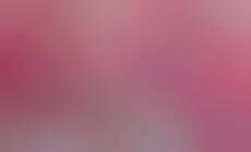 Pimped out Powder Room: RotoRooter