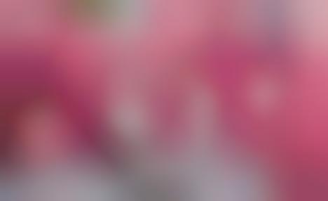 Pimped out Powder Room: RotoRooter