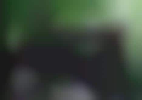 44 Eco-Friendly Home + Architecture Mods