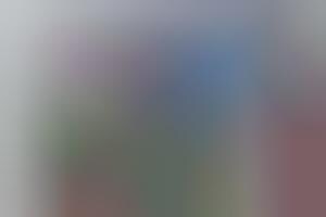 Pet Computer: MacQuarium Combines Geeky Love of Fish and Macs