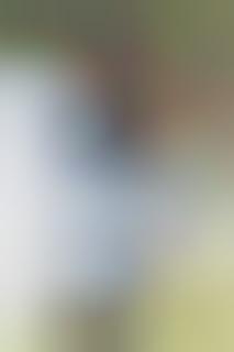 Domestic Droid Wear : R2D2 Apron