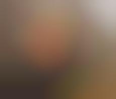 Dissected Appliance Art : Inside Toaster by Mladen Panev