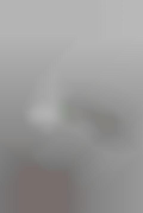 100 Endearing Miniature Concepts