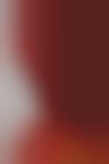 Glazed Insect Statues : Fulop Gabor