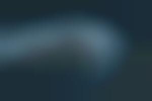 Agile Luxury Watercraft : Wally Powercraft 115 Yacht