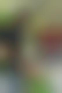 Indoor Composting Ecosystems : Parasite Farm