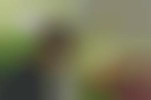 Indoor Composting Ecosystems : Parasite Farm