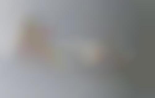 100 Eccentric Bookshelves