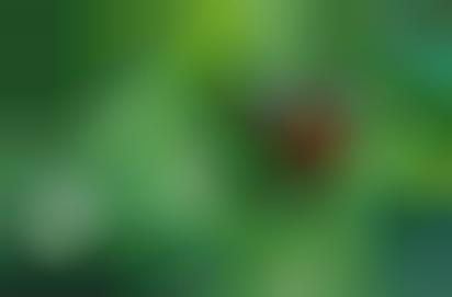 Buffoon Bacteria Ads : Dream Doctors campaign